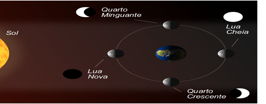 As Forças da Natureza - Física Quântica e Clássica na Vida | Física ...